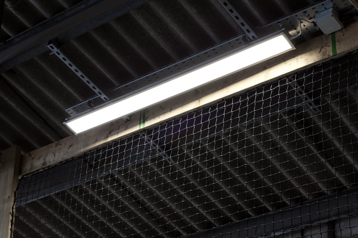 LED Eco Lights' 10 Year Anniversary Q+A - Goodlight